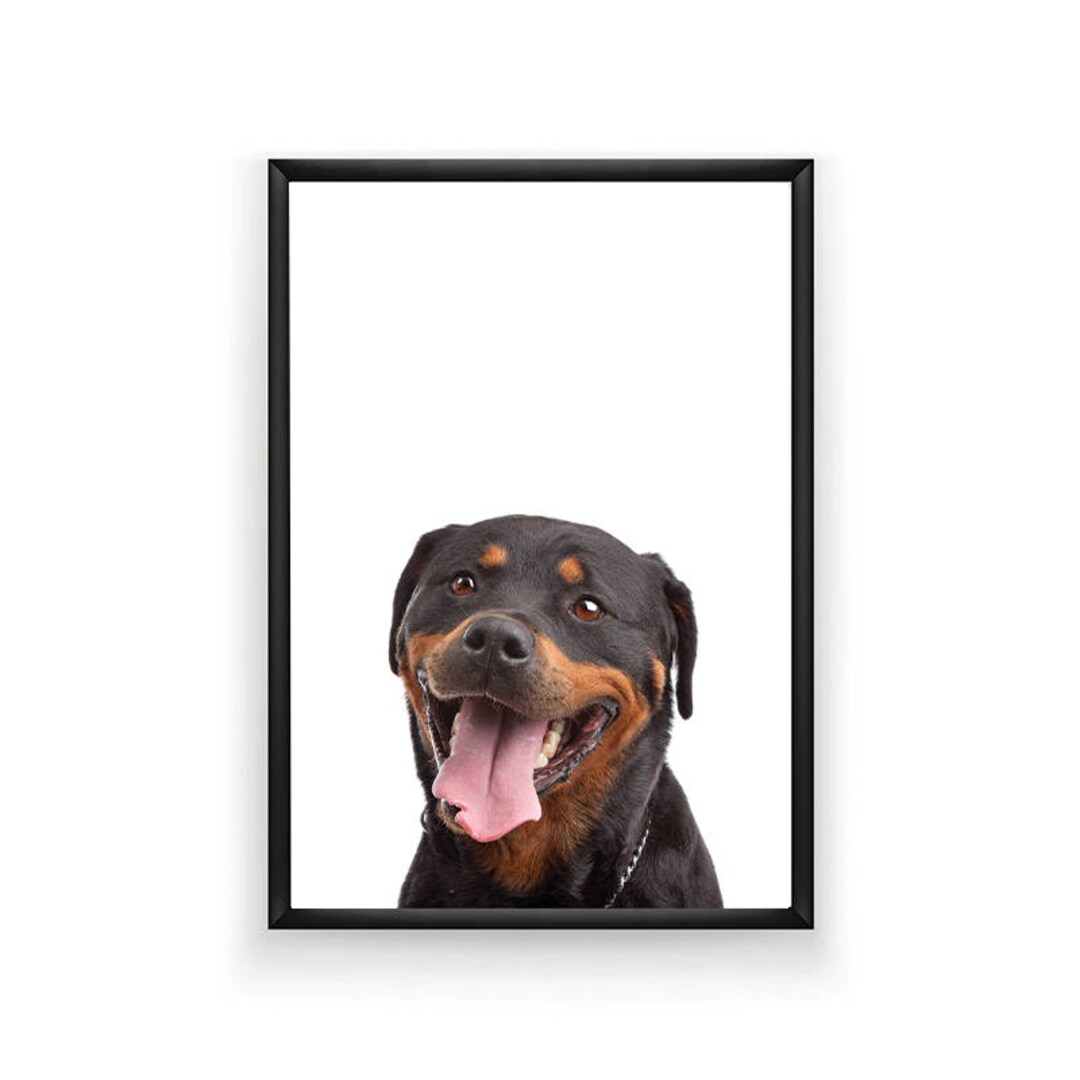 Rottweiler Dog Print Dog Prints Rottweiler Print Dog - Etsy