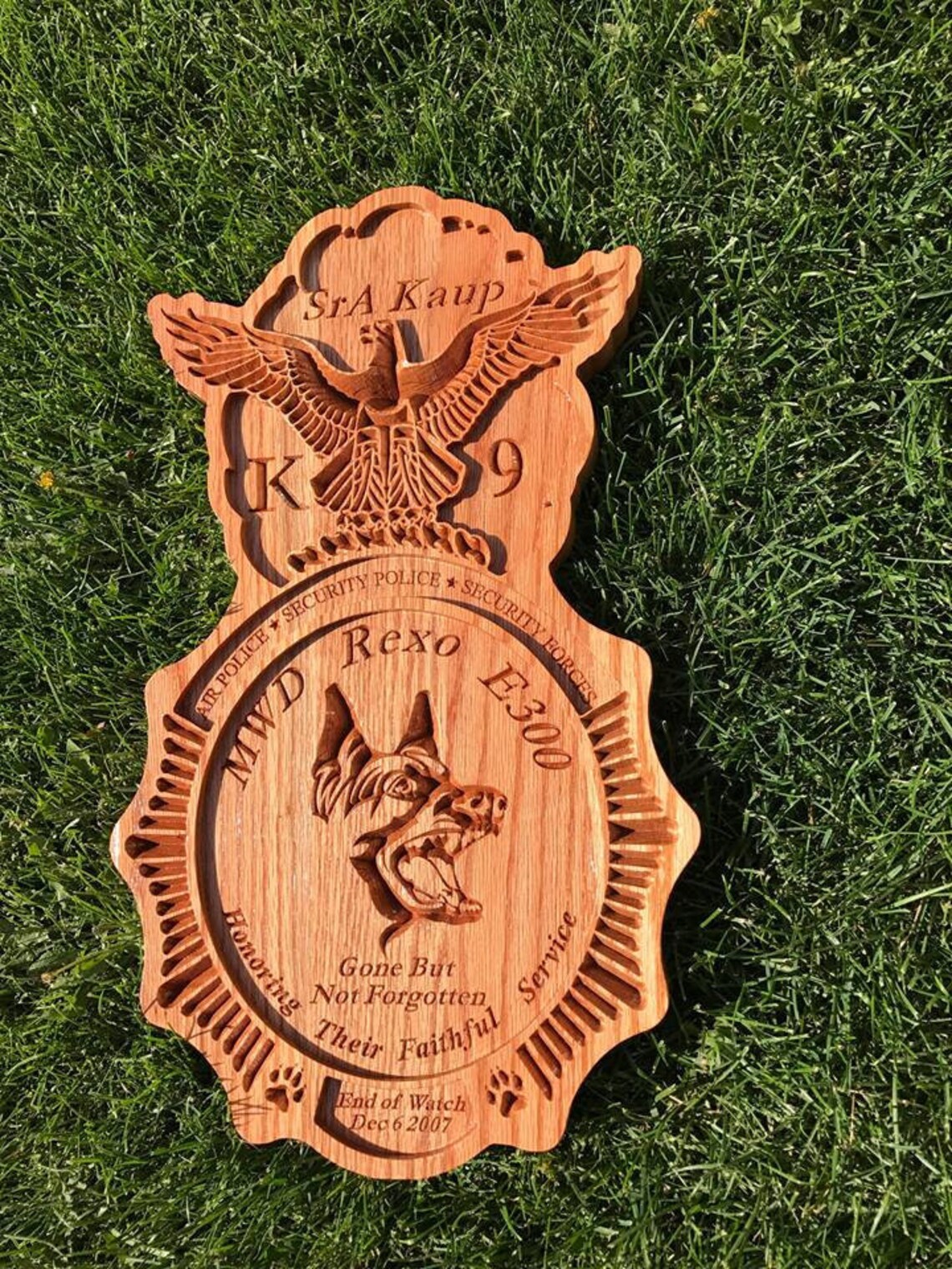 Security Forces Shield 18.5x11.25x3/4 | Etsy