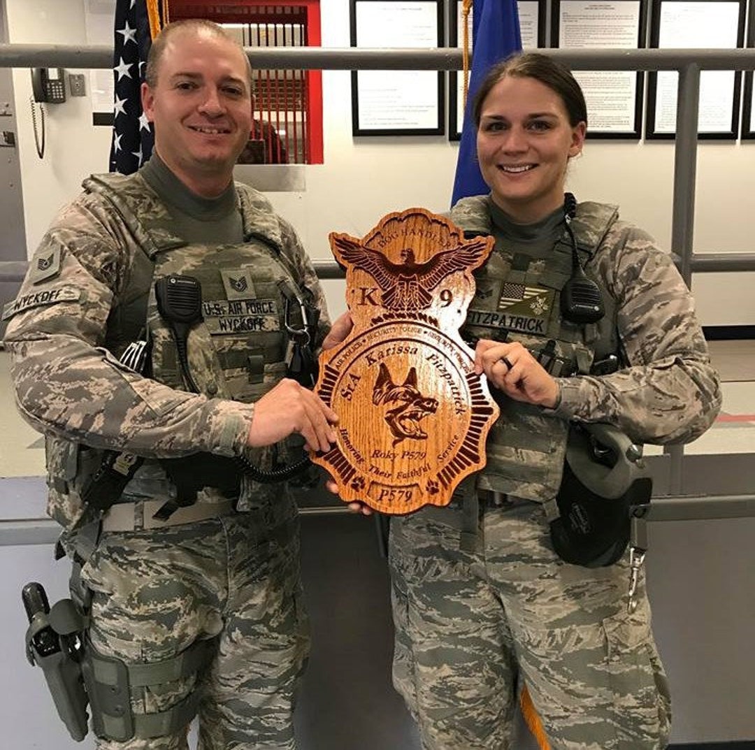 Security Forces Shield 18.5”x11.25”x3/4” - Etsy