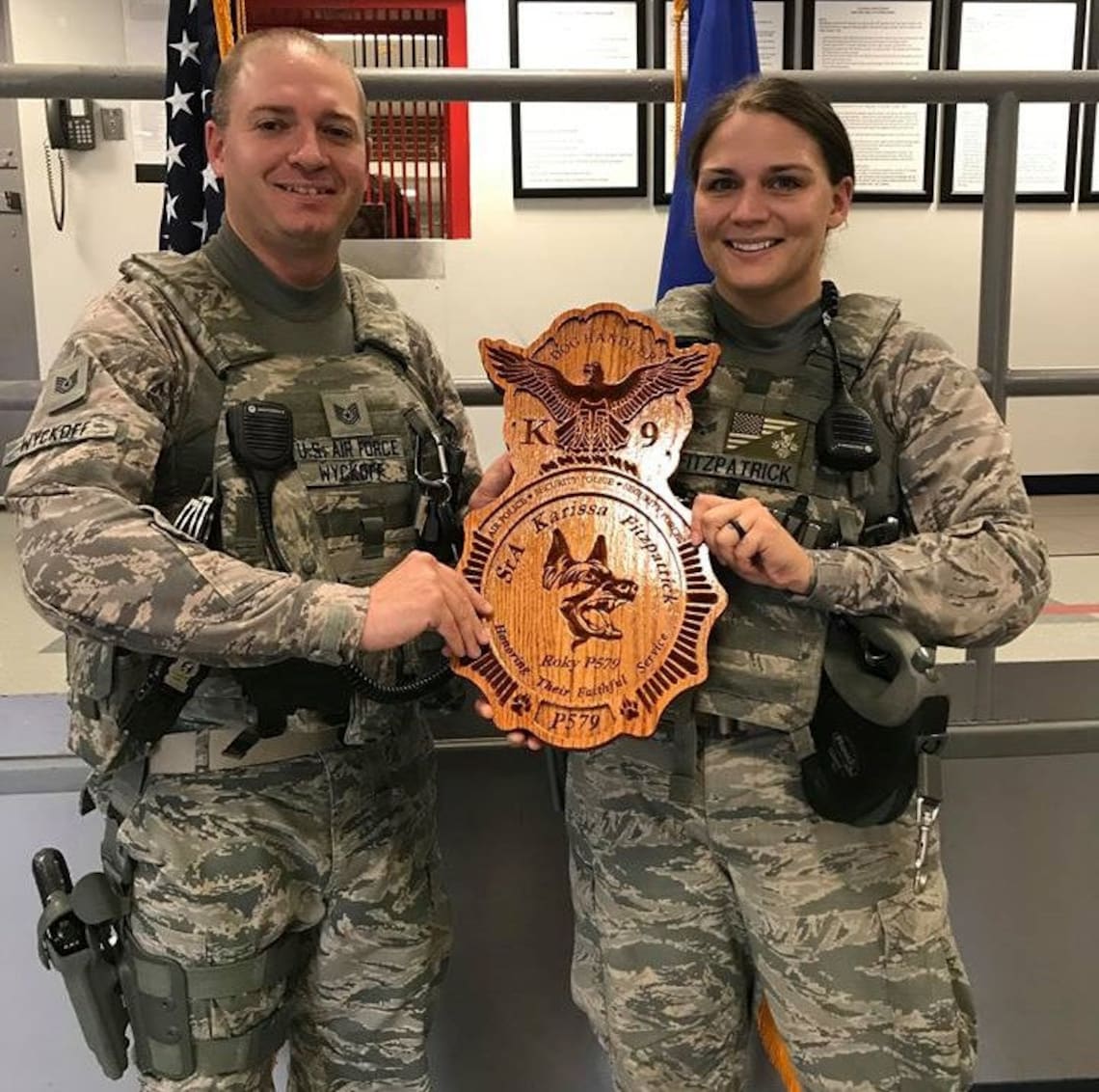 Security Forces Shield 18.5x11.25x3/4 - Etsy