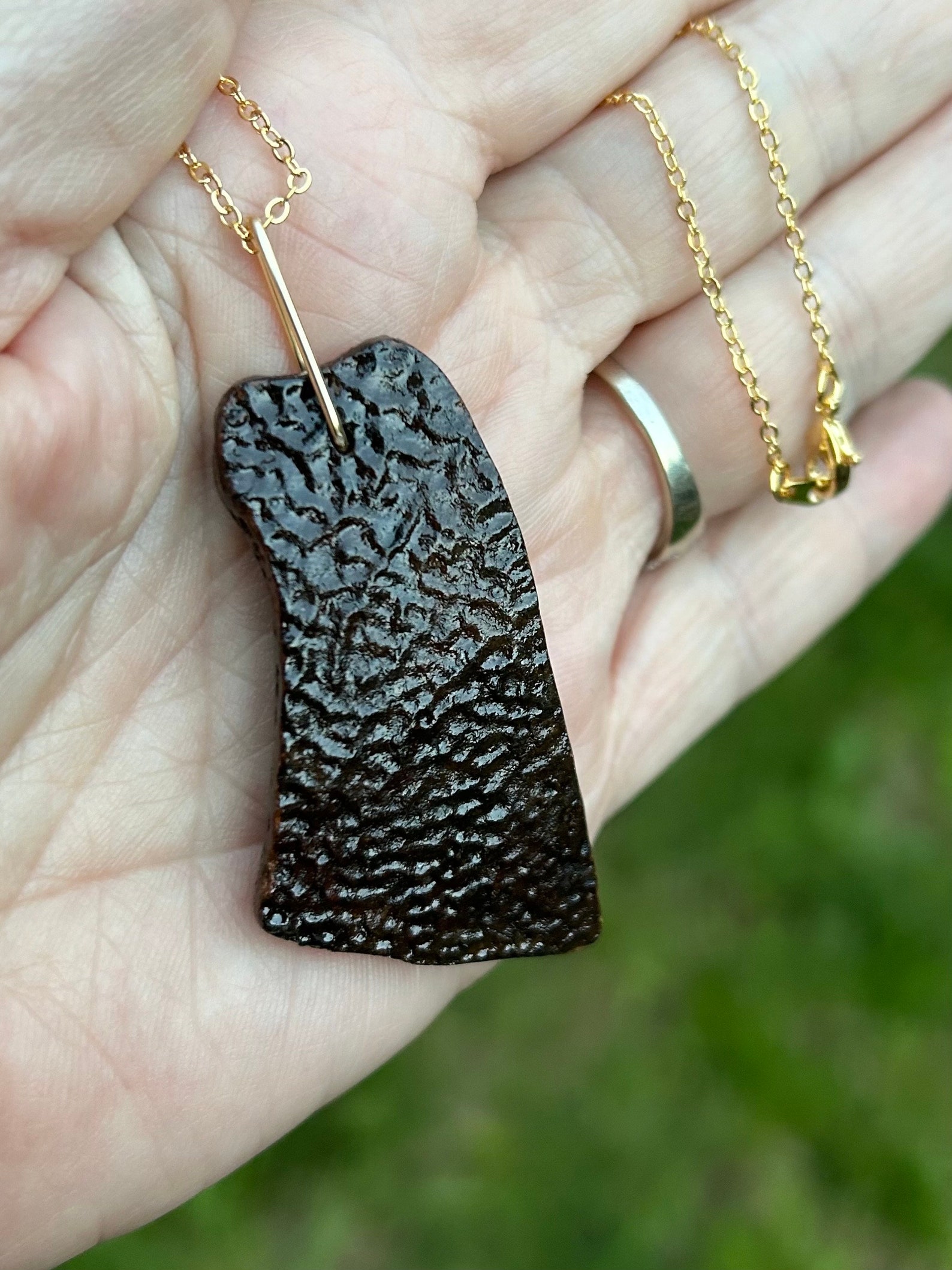 FOSSILIZED SOFTSHELL TURTLE Shell Necklace - Etsy