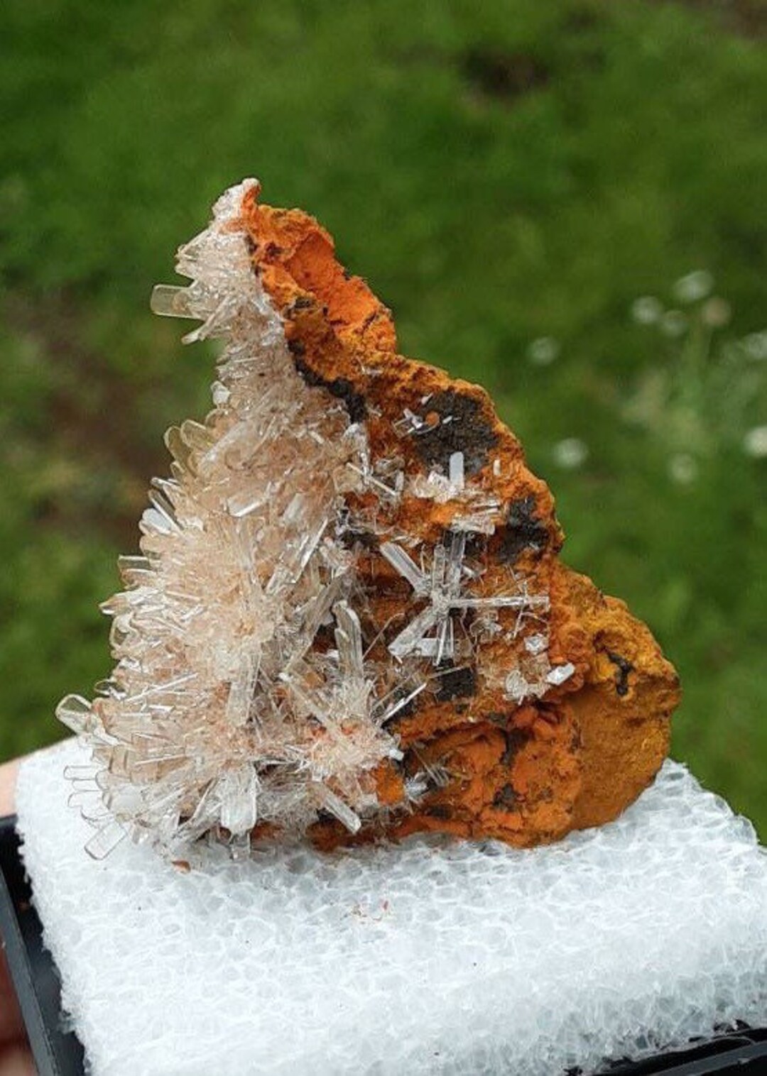 HEMIMORPHITE SPRAYS on LIMONITE Matrix Miniature Specimen - Etsy