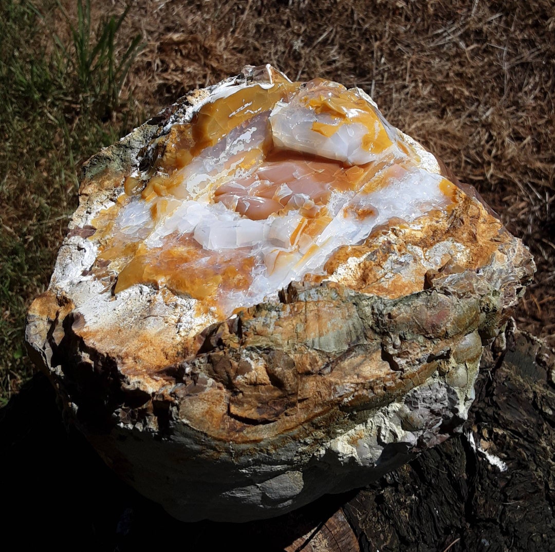 OPAL BUTTE OPAL Thunderegg - Etsy