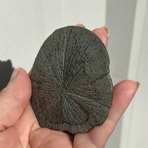 PYRITE SUN SPECIMEN - Etsy