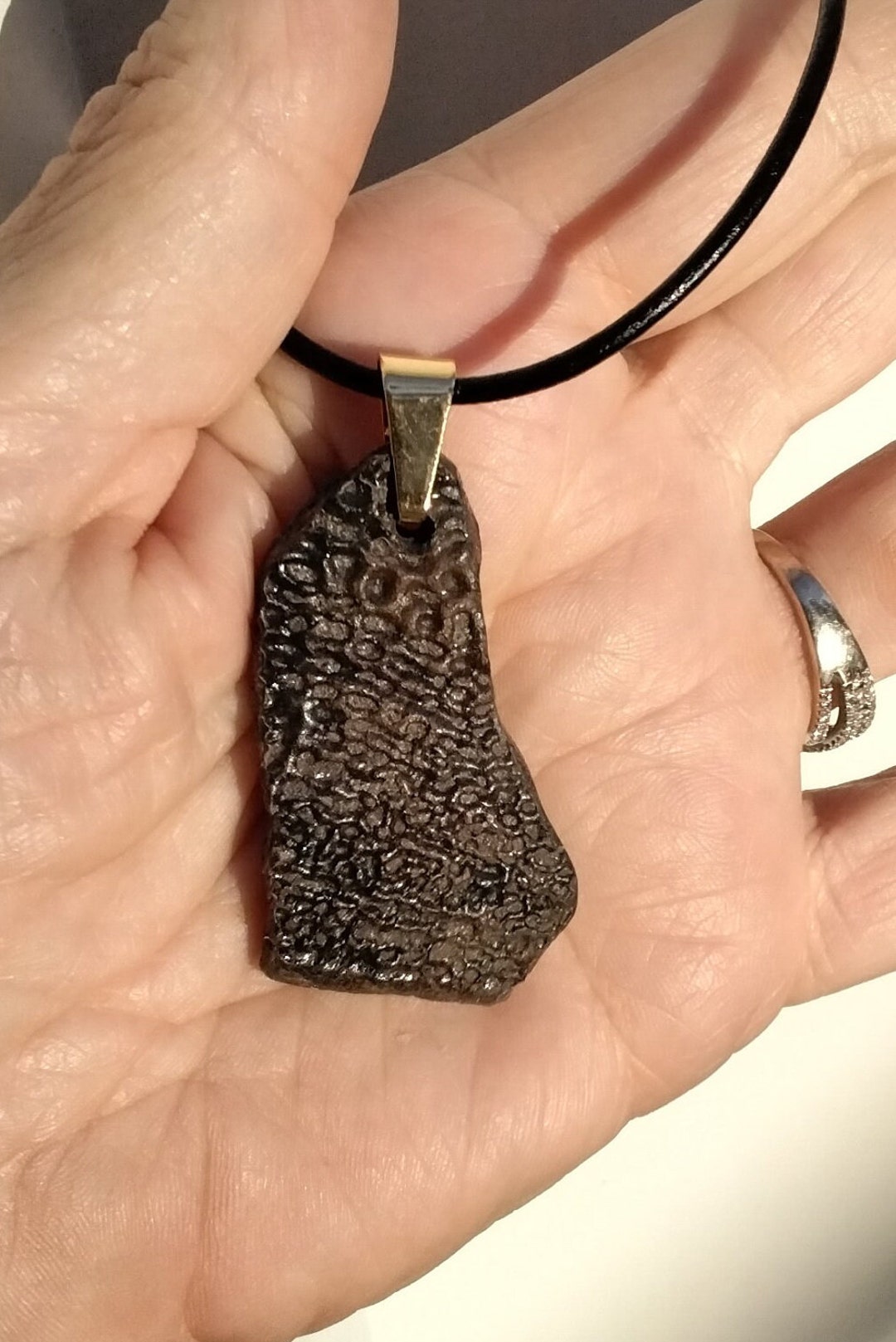 FOSSILIZED SOFTSHELL TURTLE Shell Necklace - Etsy