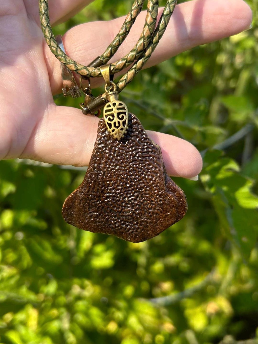 FOSSIL TURTLE SHELL Necklace - Etsy