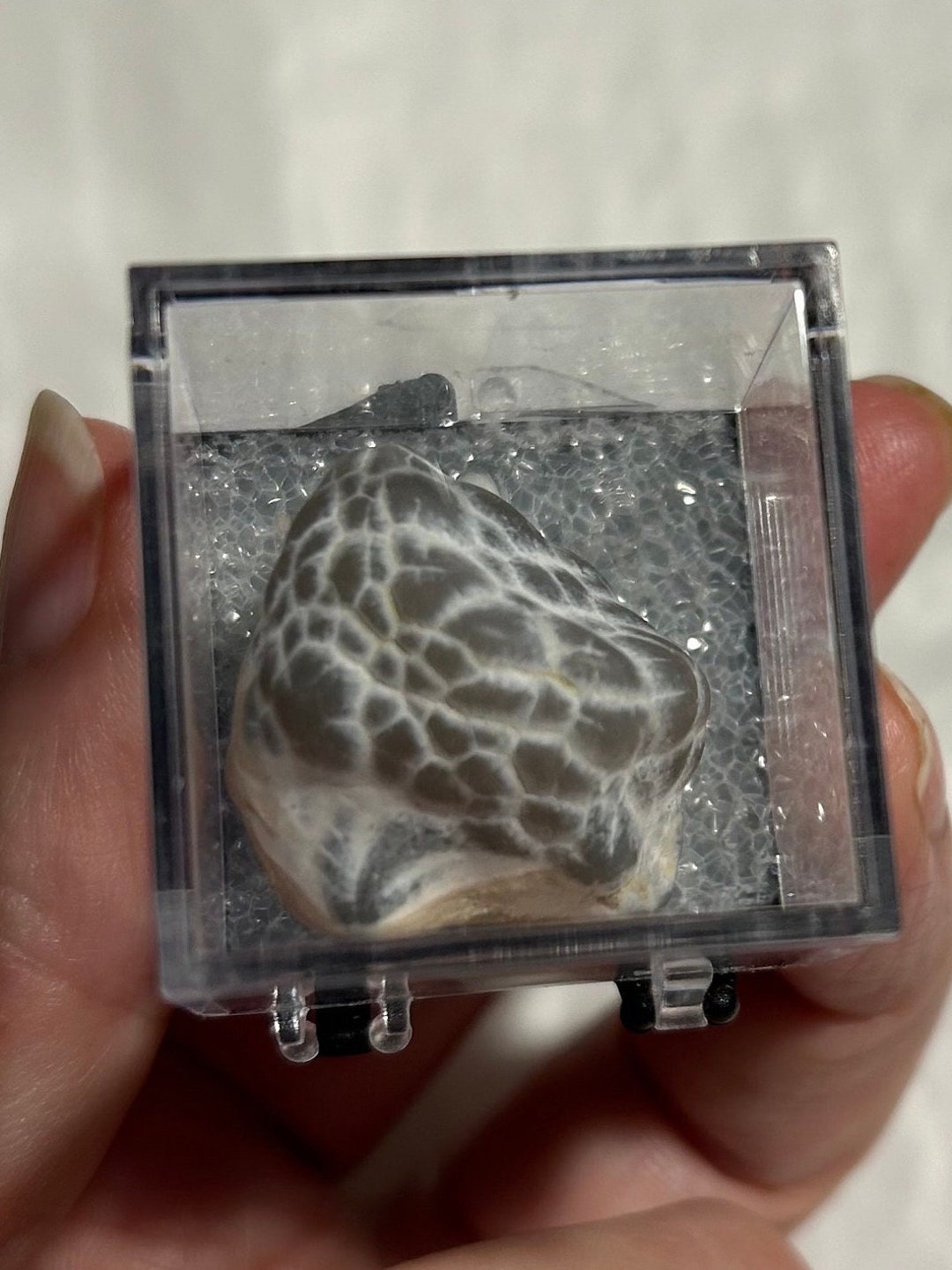 SNAKESKIN AGATE THUMBNAIL Specimen - Etsy