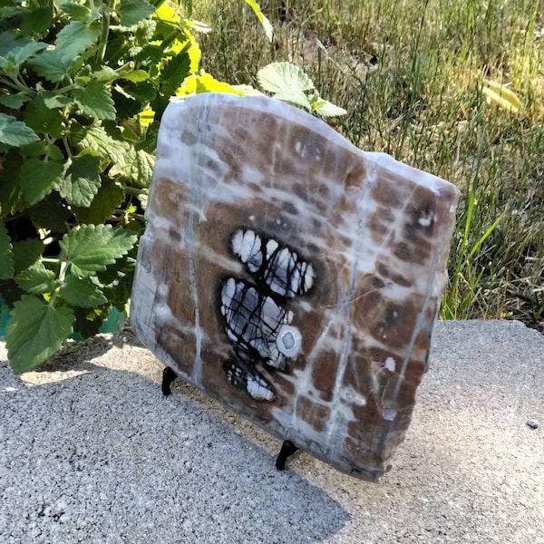 Picasso Jasper - Etsy