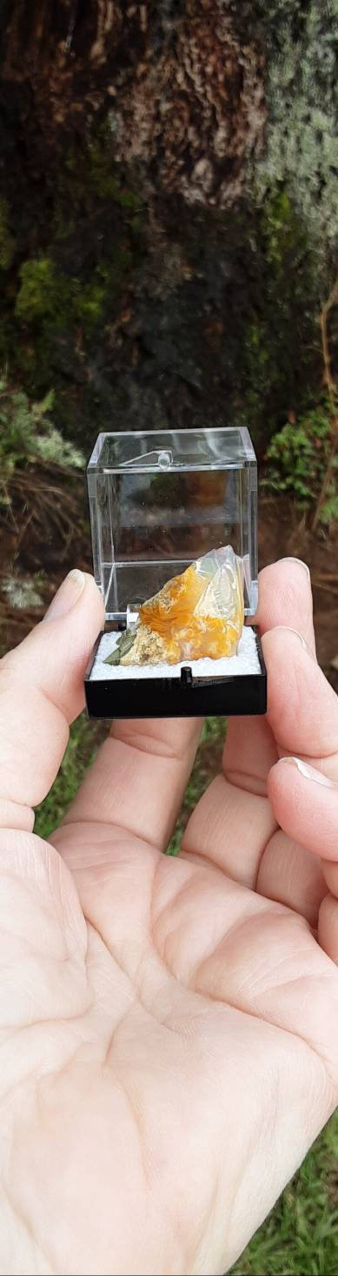 OPAL BUTTE OPAL Thumbnail Specimen - Etsy