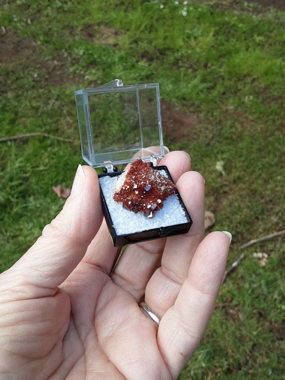 VANADINITE CRYSTALS THUMBNAIL Specimen - Etsy
