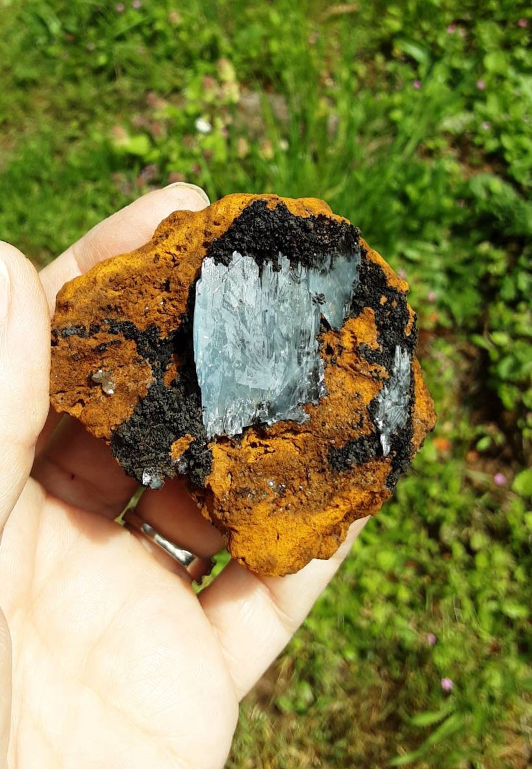 BLUE BARITE BLADES Cabinet Specimen - Etsy