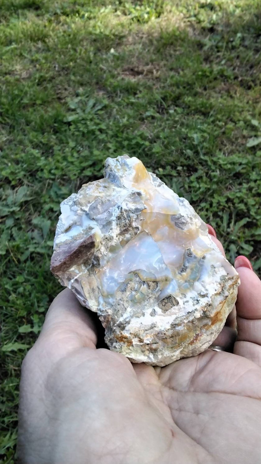 OPAL BUTTE OPAL Specimen - Etsy