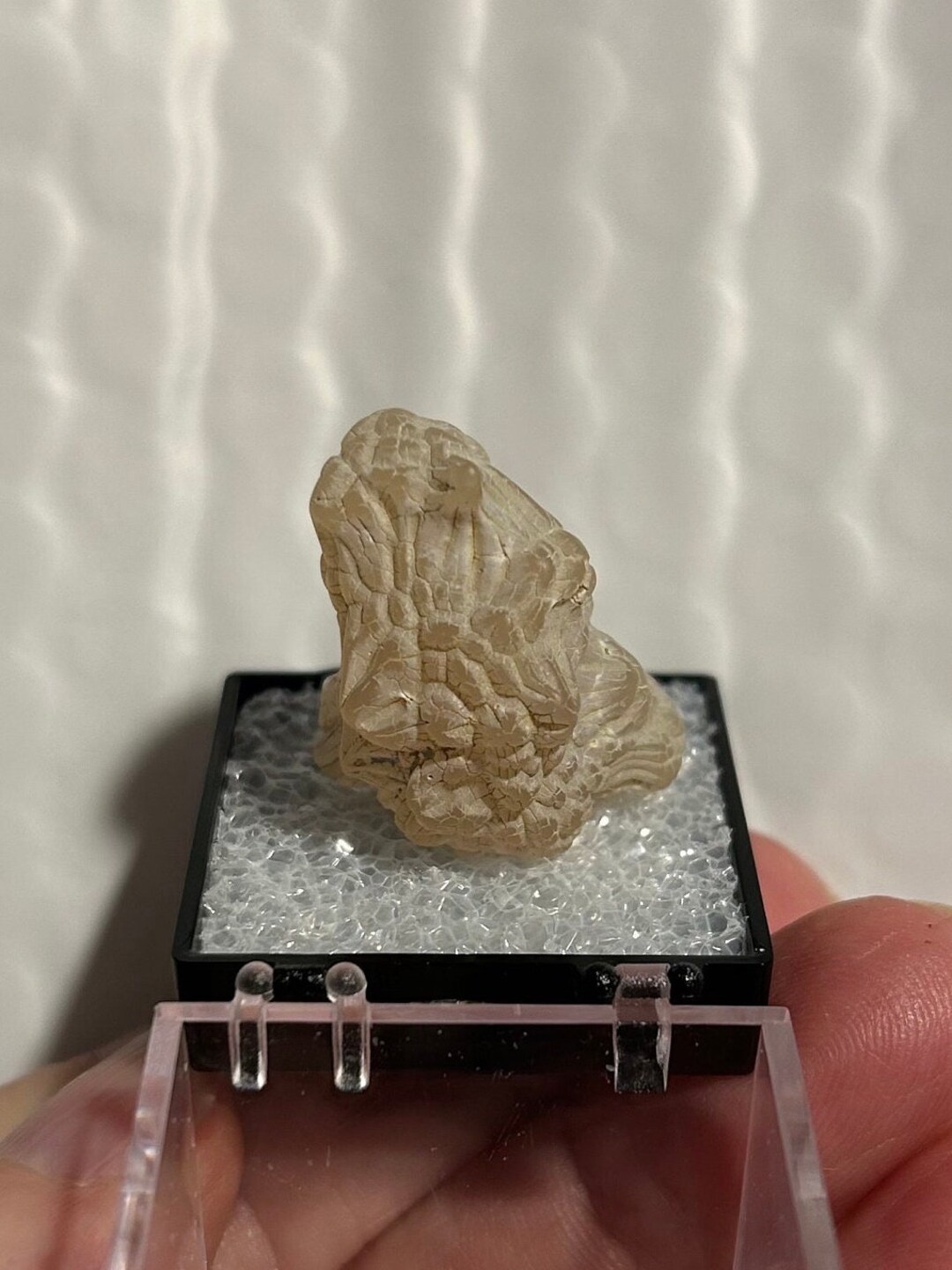 SNAKESKIN AGATE THUMBNAIL Specimen - Etsy