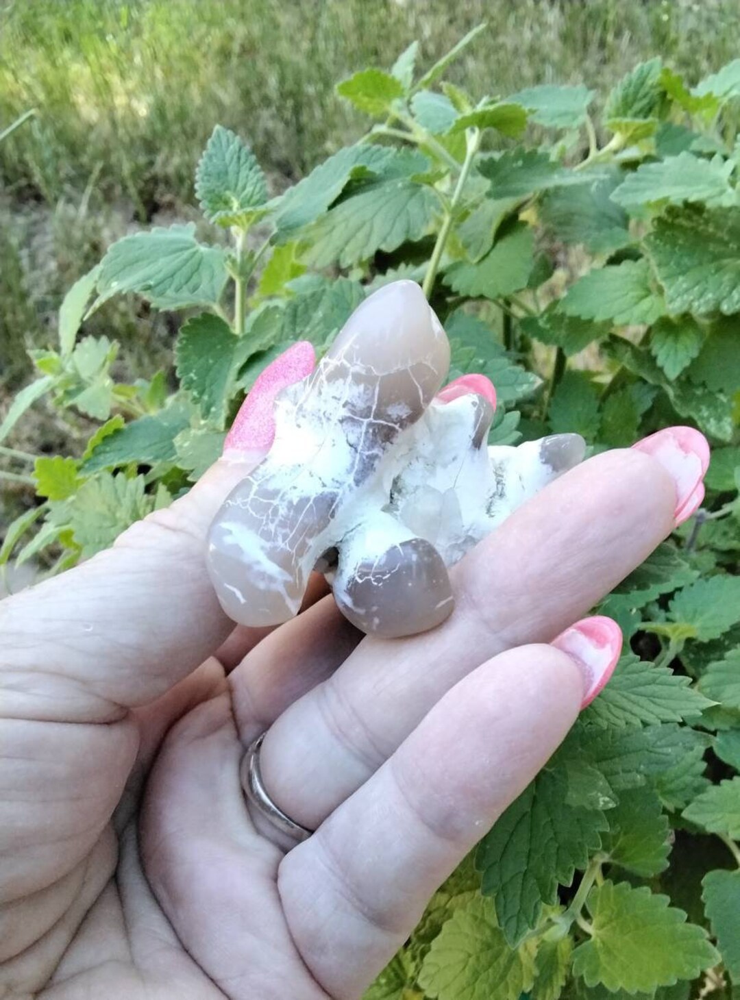 SNAKESKIN AGATE From OREGON - Etsy