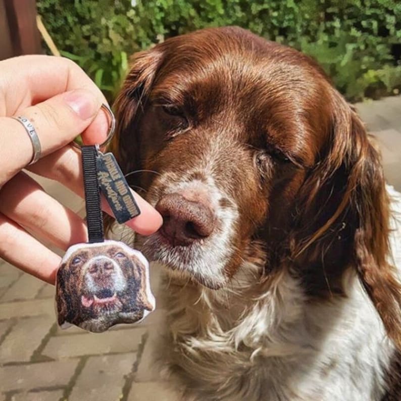 Custom Pet Head Keyring / Keychain dog cat animal photo | Etsy
