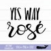 Yes Way Rose SVG Wine Saying DXF Bachelorette Party PNG - Etsy