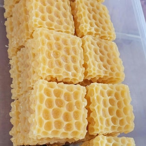 Honey Comb Wax Embeds Fake Food Candle Making Props - Etsy