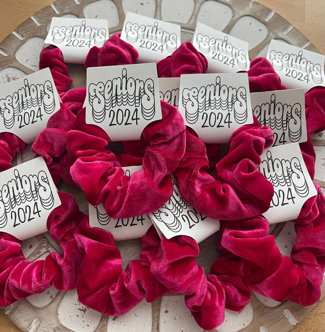 Seniors 2024 Hair Scrunchies, 2024 Graduation Favor, 2024 Graduation ...