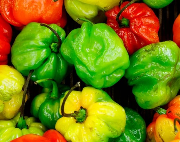 Red Shepherd Pepper Seeds - Etsy Canada