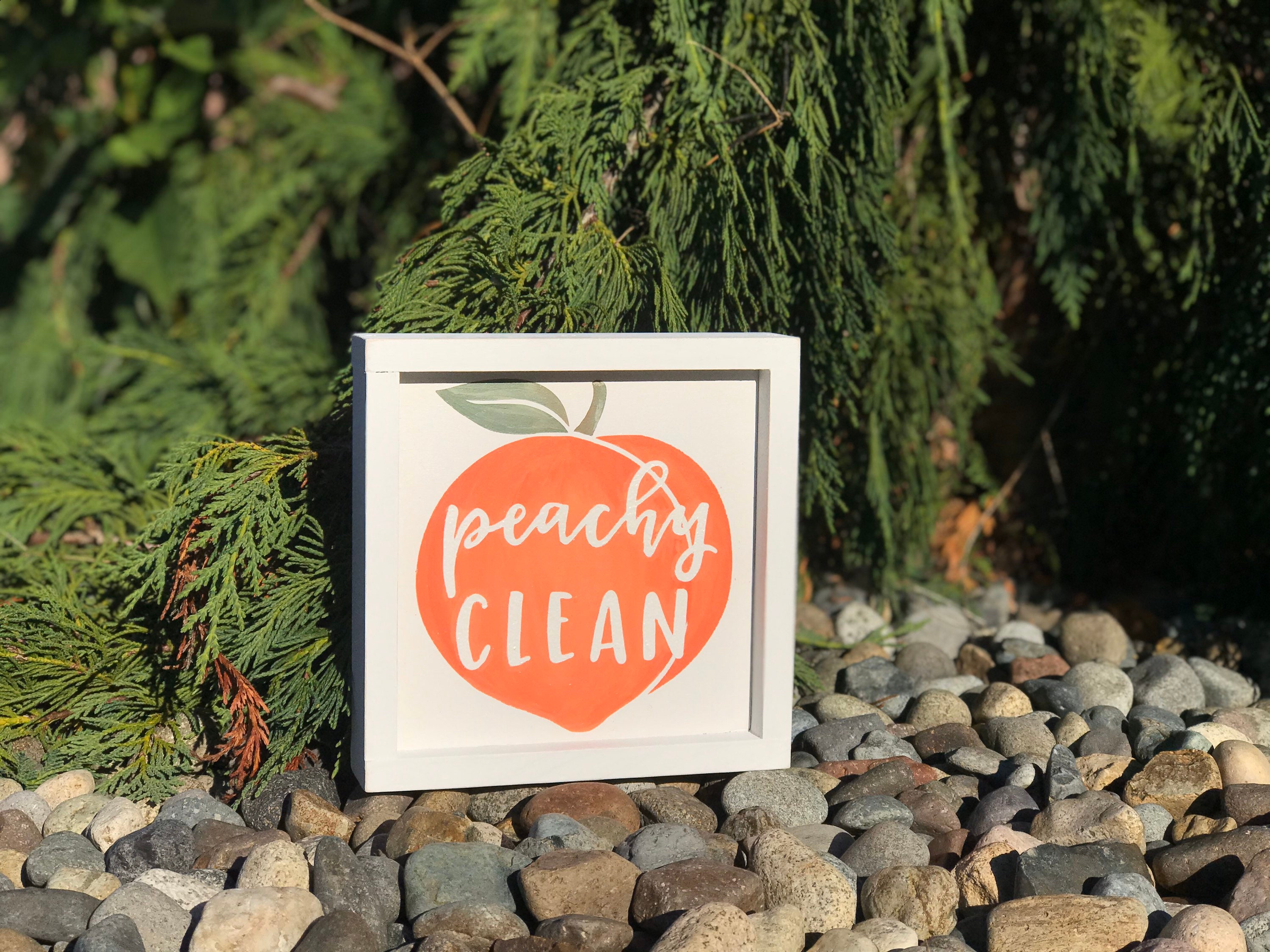 Peachy Clean Just Peachy Peachy Bathroom Decor Peachy - Etsy