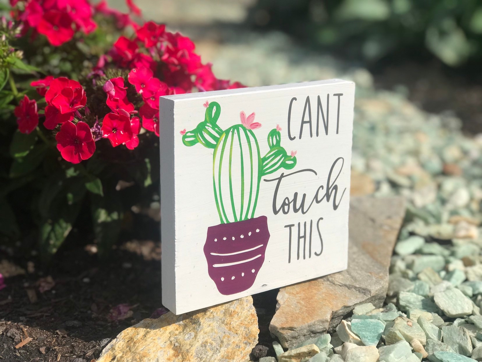 Cant Touch This Cactus Sign Cactus Cactus Decor Cactus | Etsy