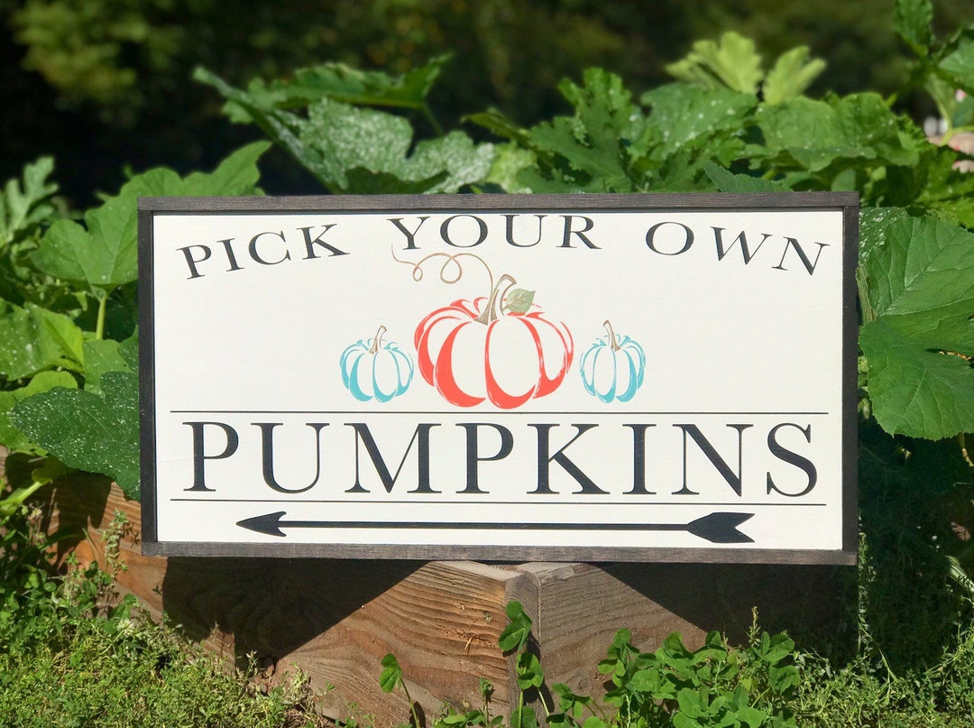Pick Your Own Pumpkins Pumpkins Fall Decor Fall Sign - Etsy