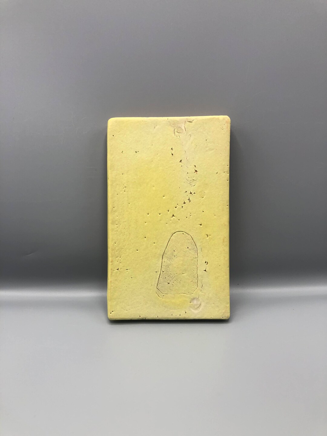 Doyle Lane Studio Ceramic Tile With Light Yellow Glaze and Biomorphic ...
