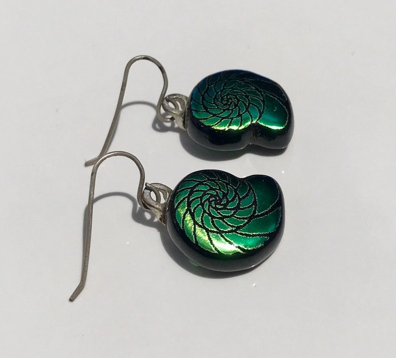 Green Nautilus Shell Laser Engraved Etched Dichroic Fused - Etsy