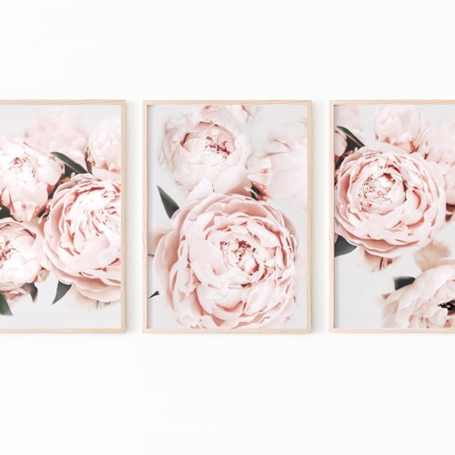 Pink Roses Prints Art Print Floral Wall Art Flower Art - Etsy