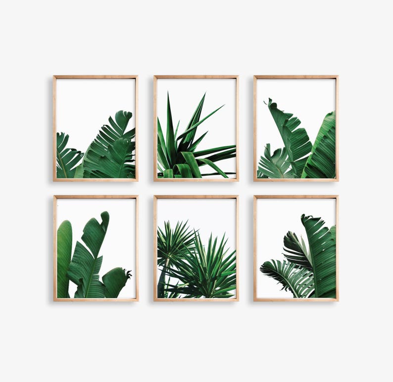 Palm Leaf Print Palm Tree Print Set of 6 Prints Banana Leaf | Etsy