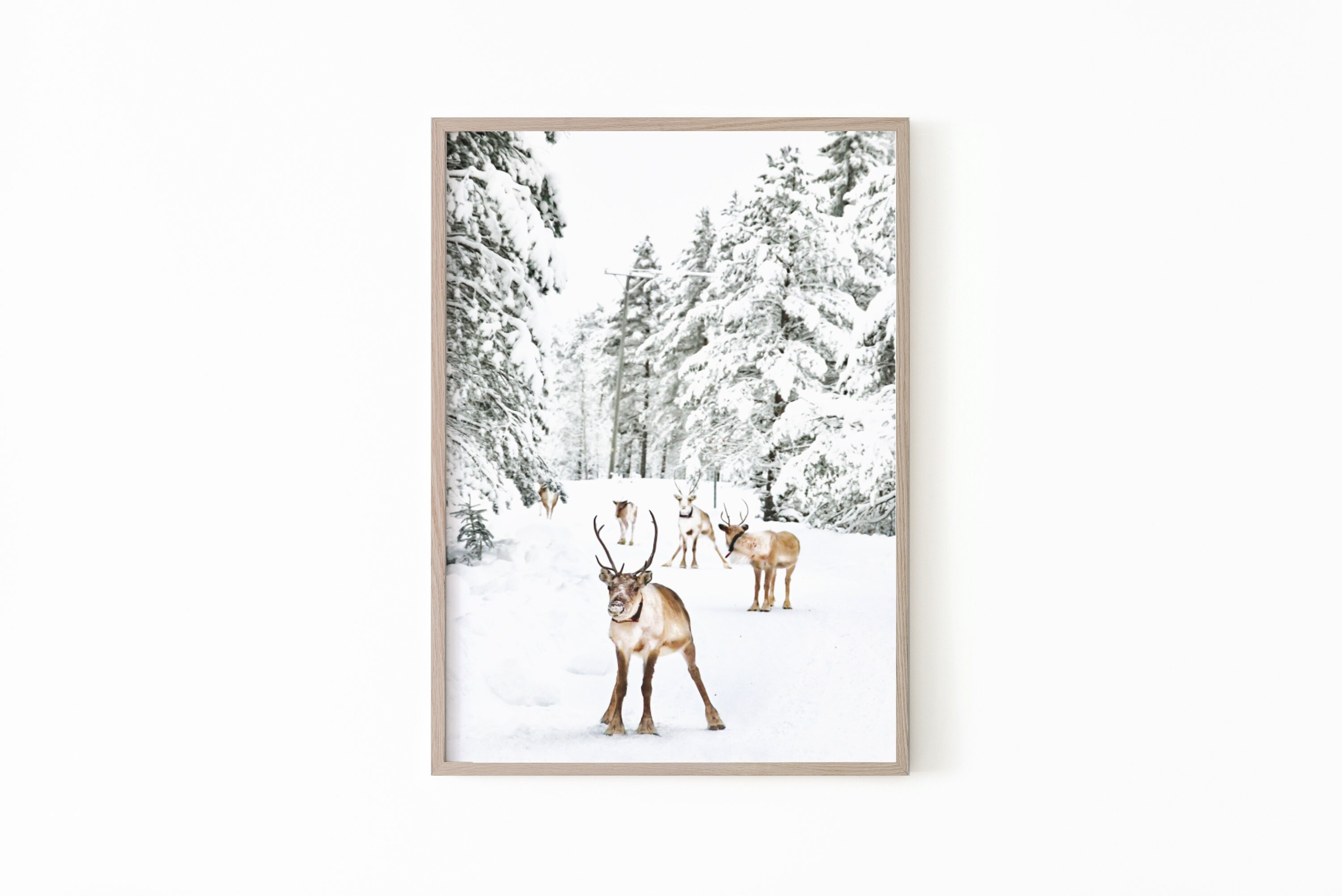 Winter Print Set of 6 Winter Wonderland Printable Christmas | Etsy