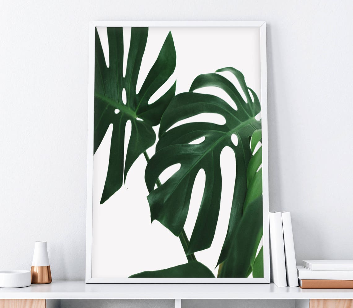 Tropical Print Set of 2 Monstera Leaf Poster Tropical Leaf | Etsy