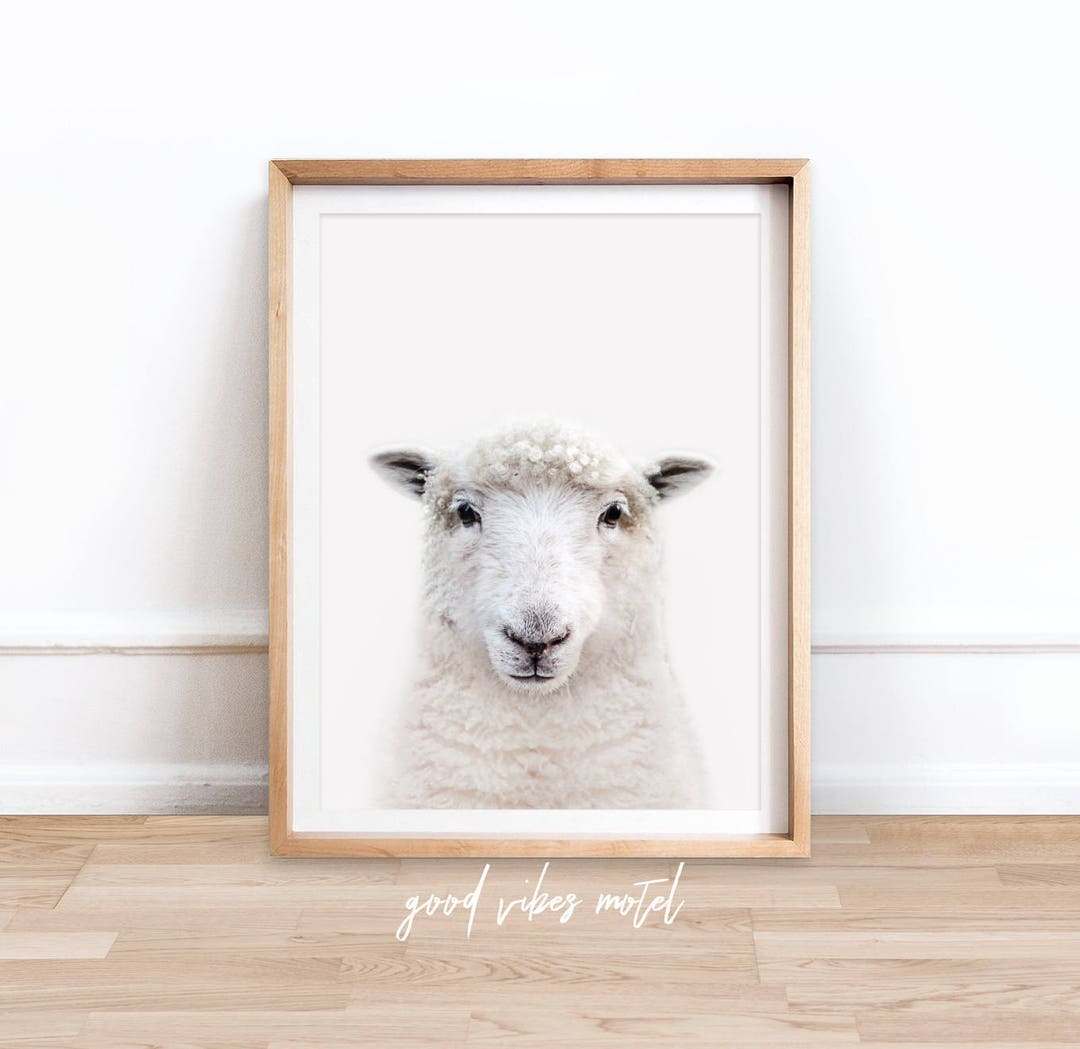 Sheep Print, Printable Sheep Art, Nursery Animal Print, Printable ...