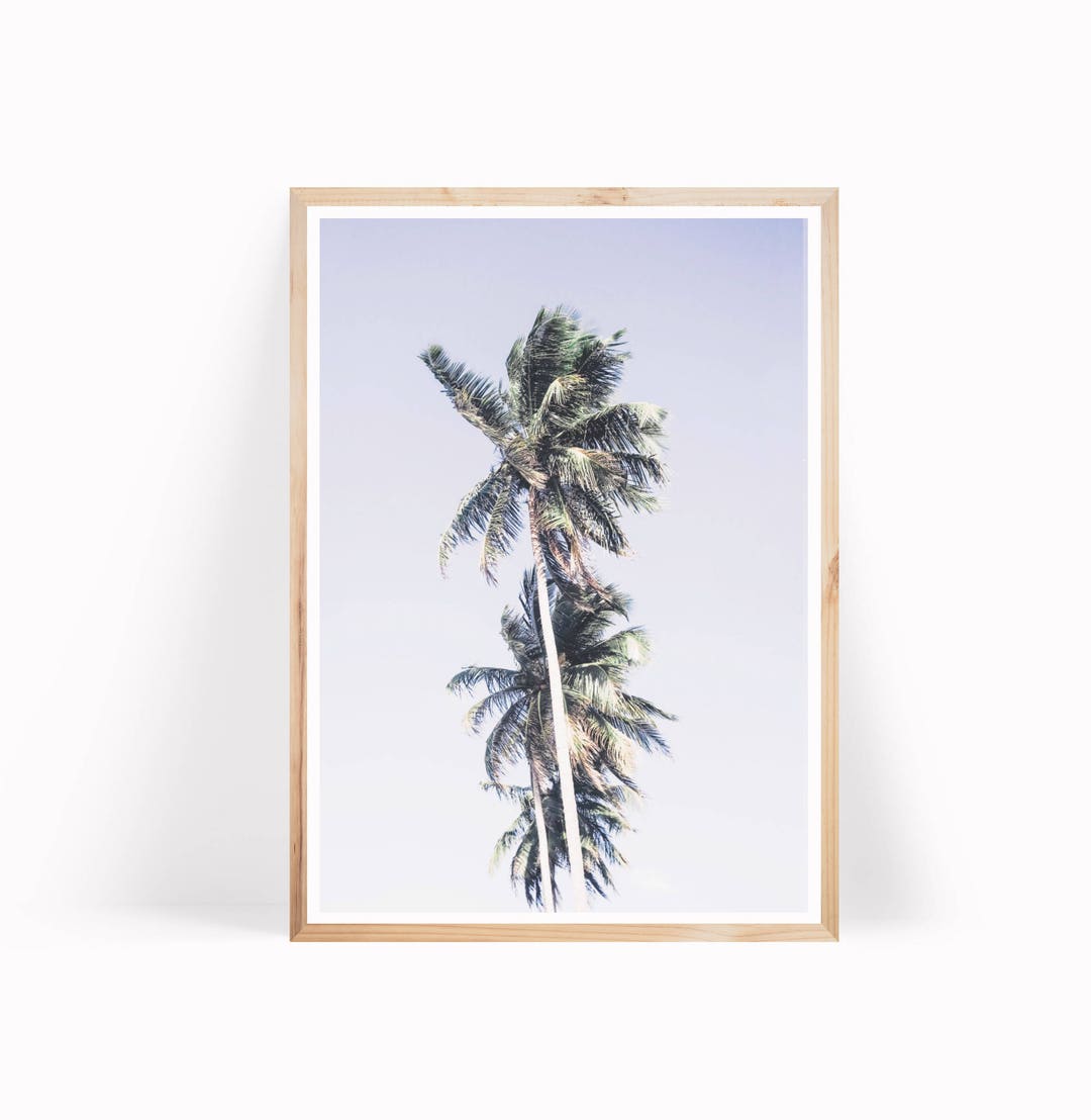 Palm Trees Print - Tropical Palm Poster - Boho Decor - Palm Tree ...