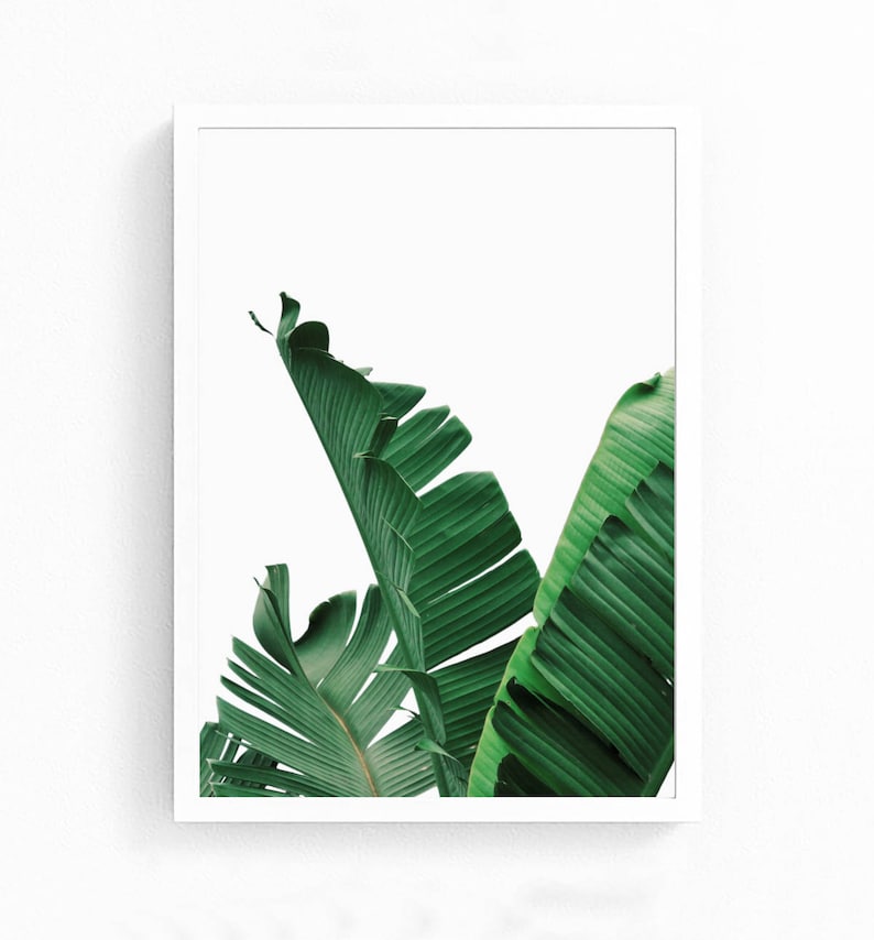 Palm Leaf Print Palm Tree Print Set of 6 Prints Banana Leaf | Etsy