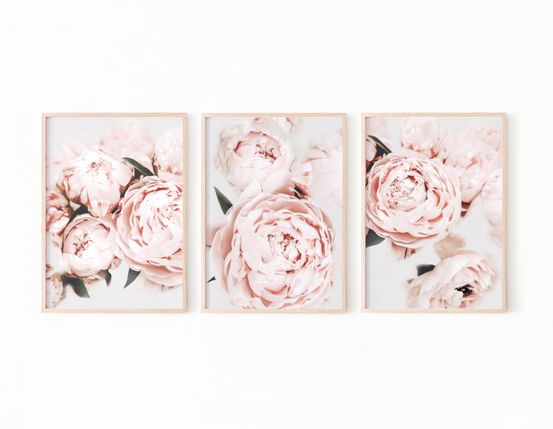 Peony Print Set of 3, Flower Print Set, Blush Pink Wall Art, Flower ...