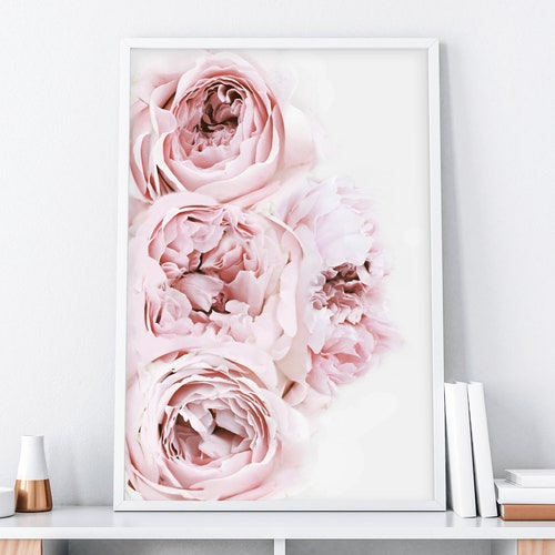 Blush Pink Peonies Print Boho Floral Wall Art Above Bed Etsy