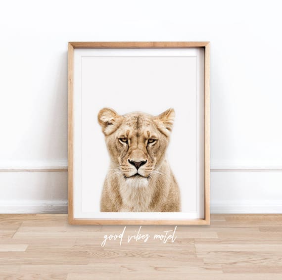 Lioness Print Lioness Wall Art Safari Nursery Poster Animal | Etsy