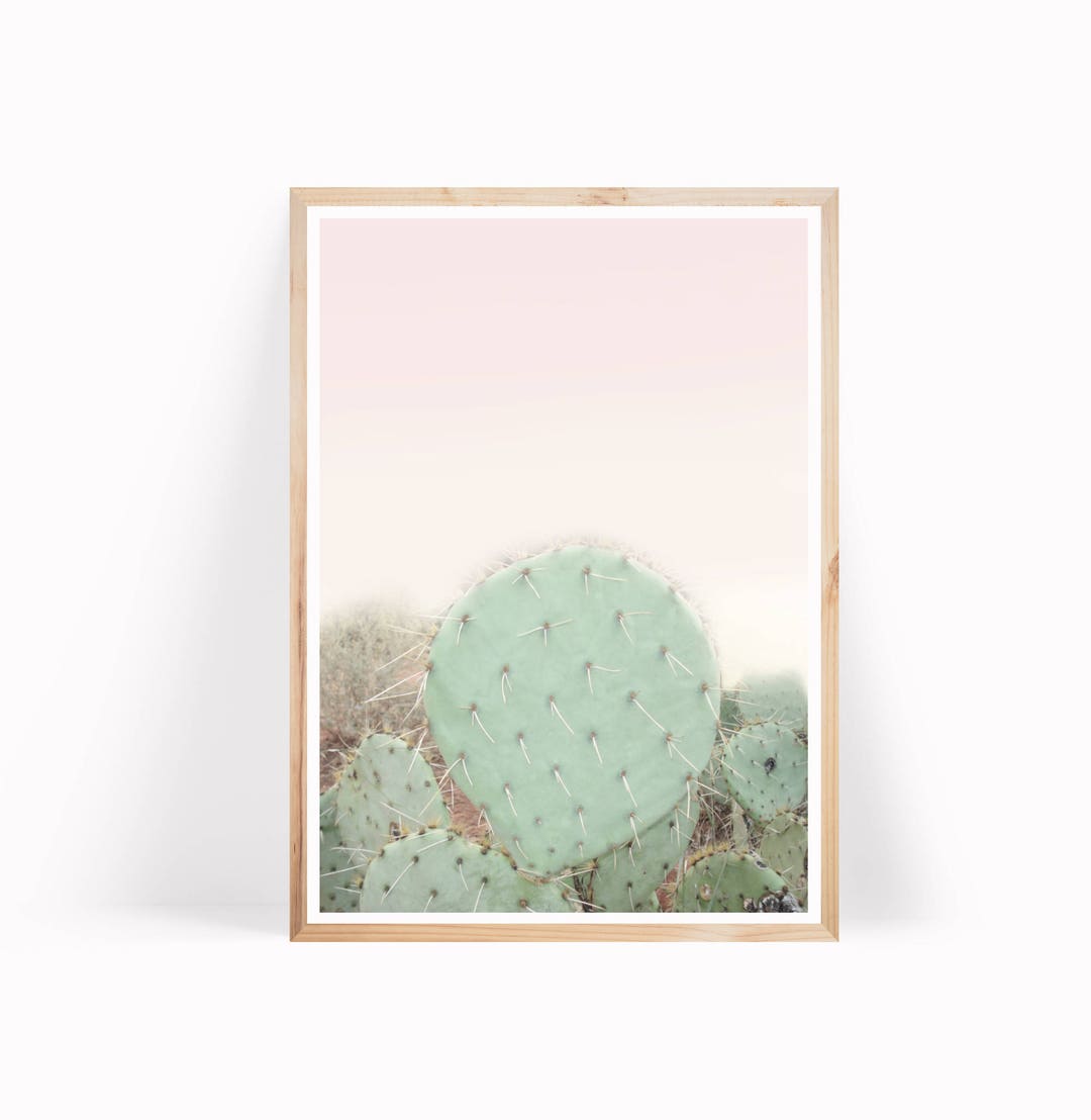 Cactus Photo, Cactus Poster, Printable Cacti, Boho Decor, Cactus ...