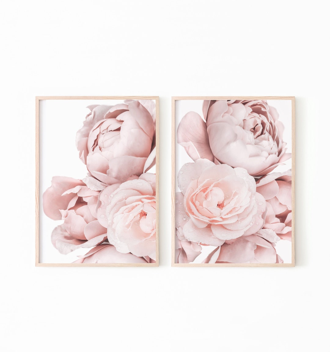 Peony Wall Art, Peony Print Set of 2, Pink Rose Print, Botanical Print ...