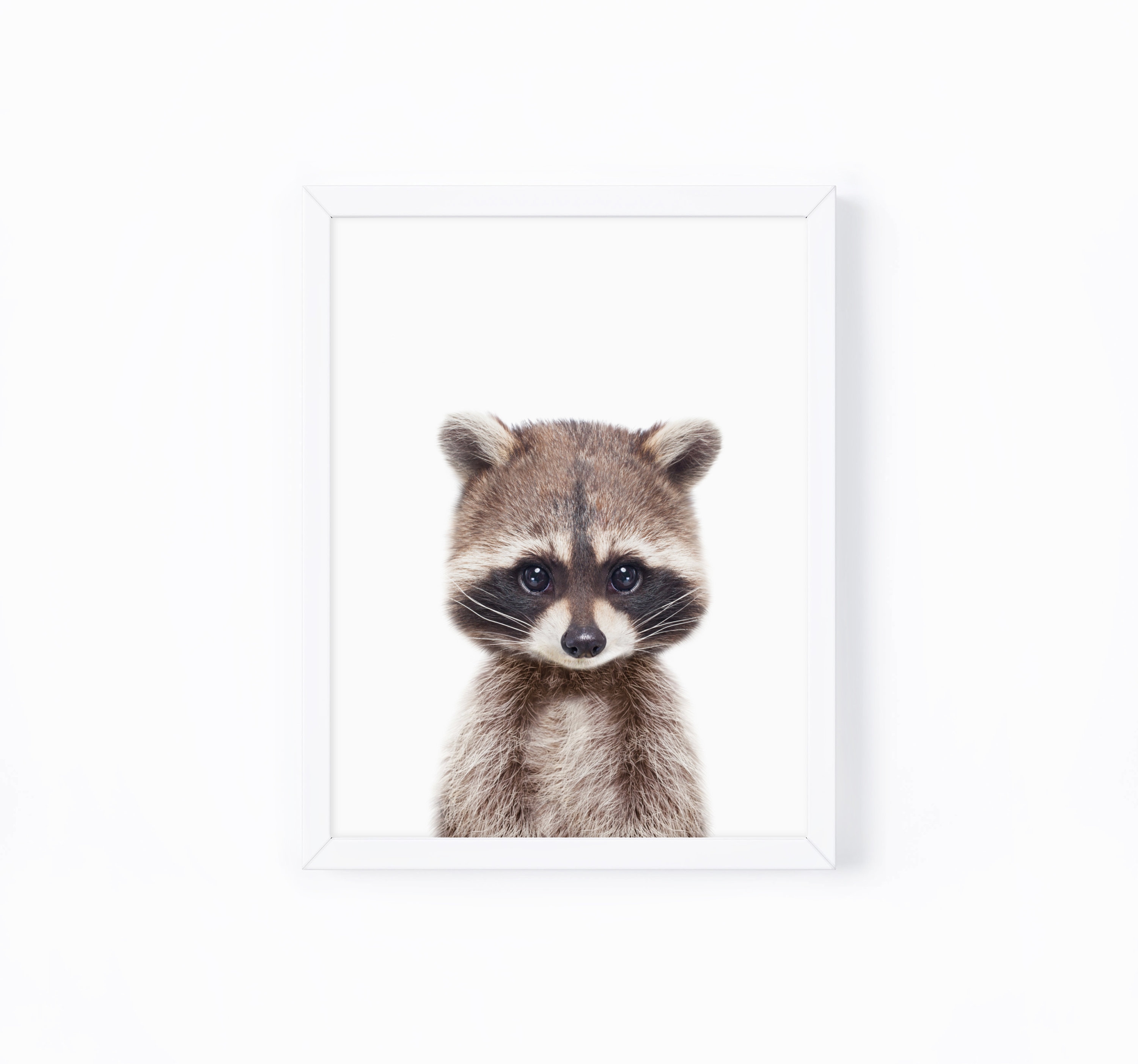 Raccoon Print Woodland Nursery Printable Art Woodland - Etsy