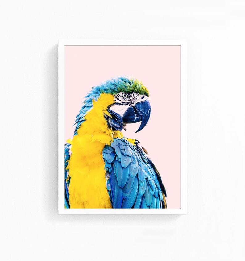 Parrot Print Tropical Bird Print Animal Print Parrot Wall - Etsy