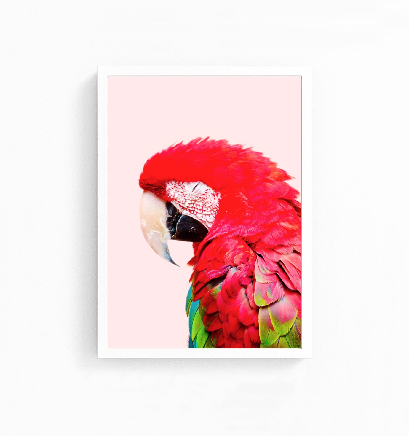 Parrot Print Tropical Wall Art Bird Print Printable Art - Etsy UK