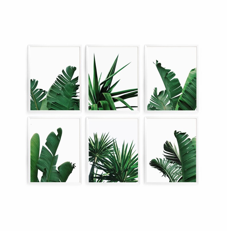 Palm Leaf Print Palm Tree Print Set Of 6 Prints Banana Leaf Etsy