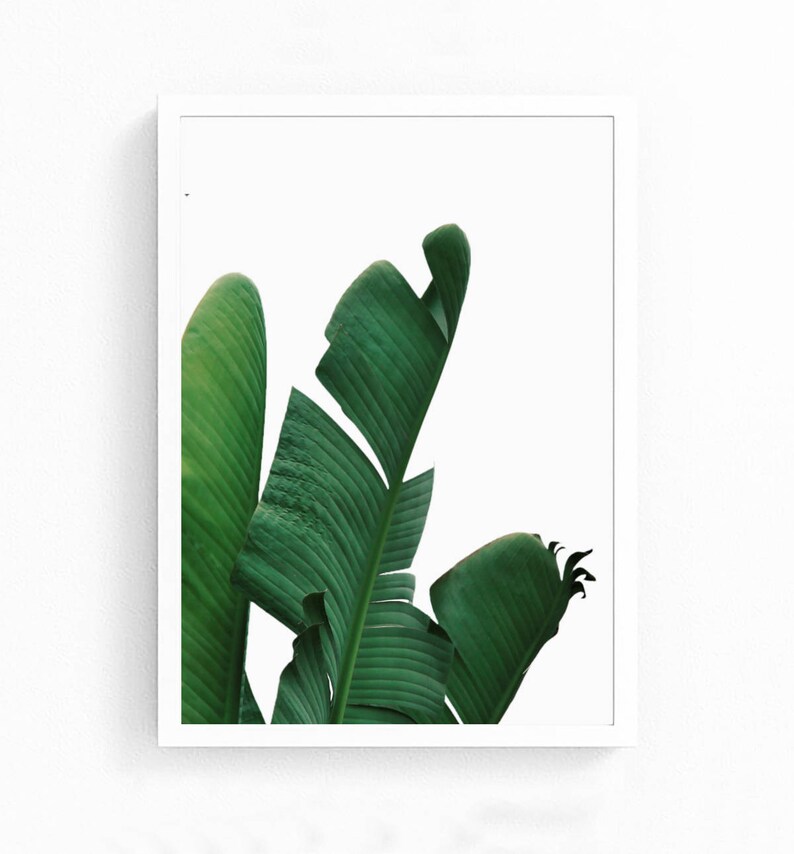 Palm Leaf Print Palm Tree Print Set Of 6 Prints Banana Leaf Etsy