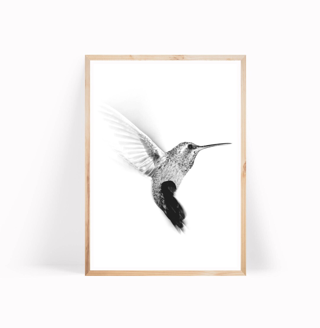 Colibri Print, Bird Print, Digital Poster, Bird Wall Art, Nature Print ...
