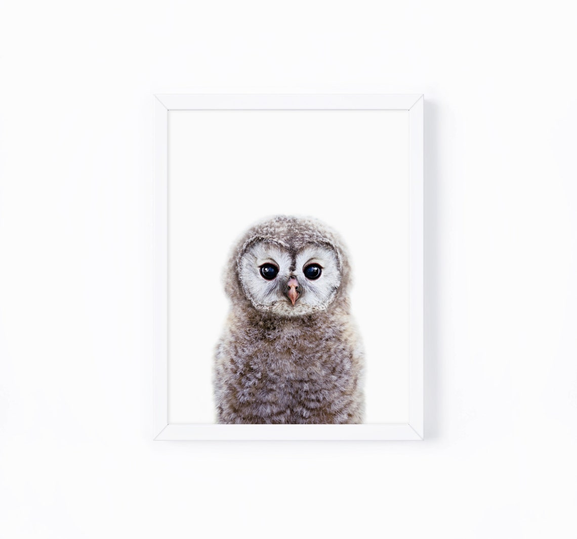 Owl Print Nursery Animal Print Printable Art Baby Owl - Etsy