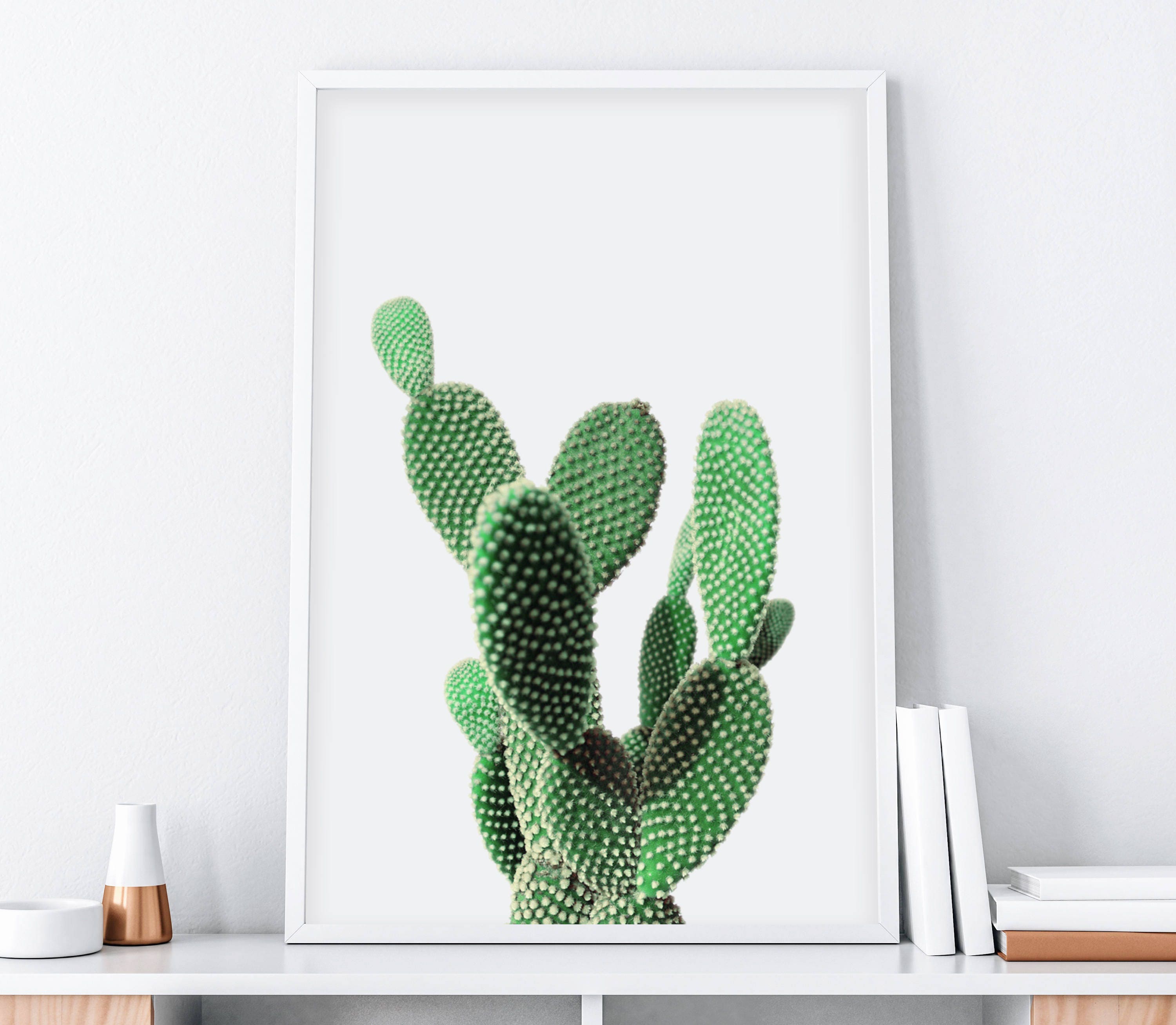 Set of 3 Cactus Print Cactus Wall Art Succulent Print | Etsy