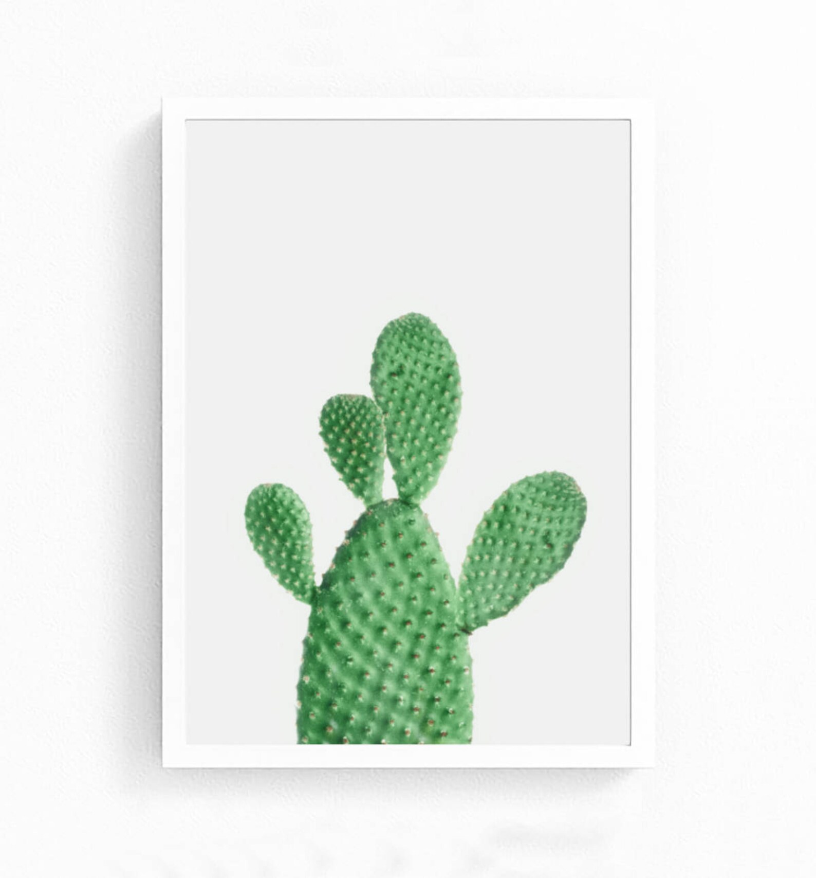 Cactus Art Print Cactus Wall Art Southwestern Print Cactus - Etsy
