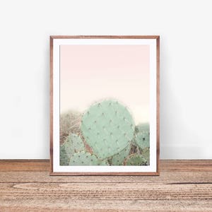 Cactus Photo, Cactus Poster, Printable Cacti, Boho Decor, Cactus ...